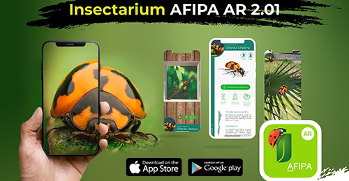 Insectario AR Augmented Reality - OKTOPUS.TV